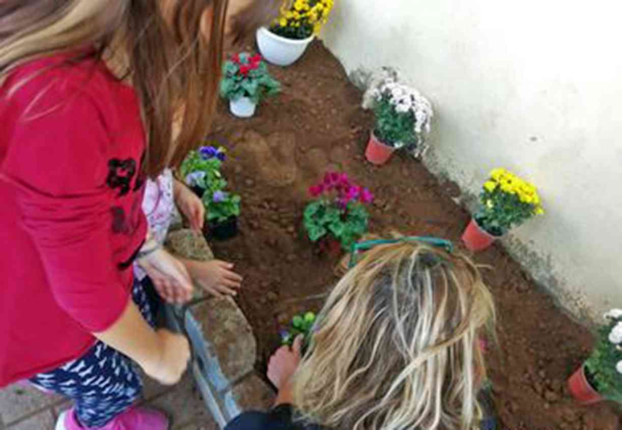 7ο Δημοτικό Σχολείο Καβάλας: Φύτεμα λουλουδιών παράλληλα με την ...