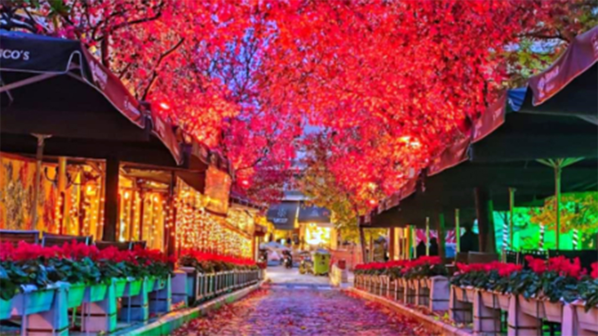 Λευκή Νύχτα στο Franco’s Cafe Wine Bar με τη φωνή της Αμαλίας Ποθητάκη ...